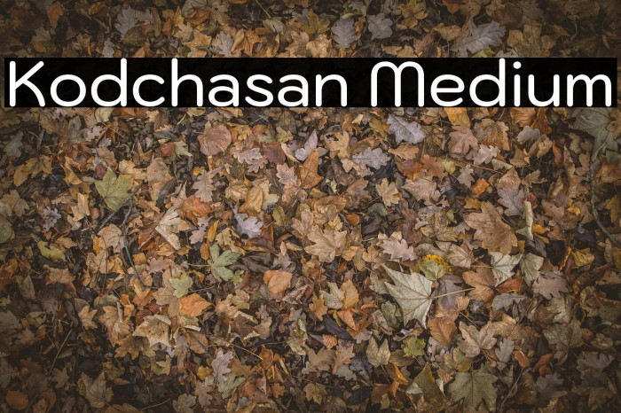 Kodchasan Medium Font - FFonts.net