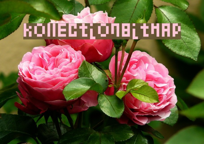 kollectionbitmap Font - FFonts.net
