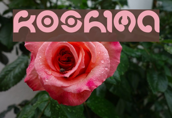 koshima Font - FFonts.net