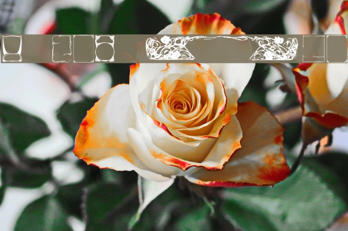 KR Deco Frames Font - FFonts.net