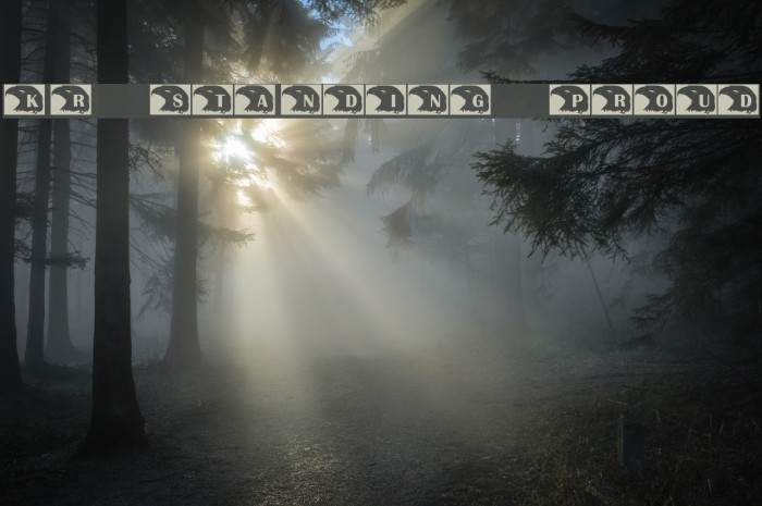 KR Standing Proud Font - FFonts.net