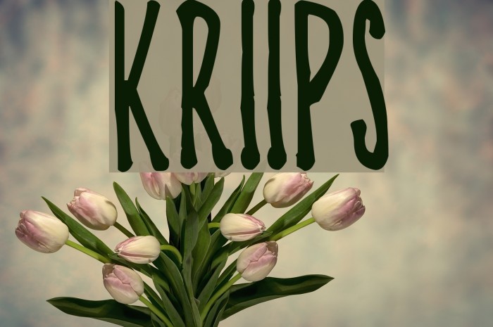KRIIPS Font - FFonts.net