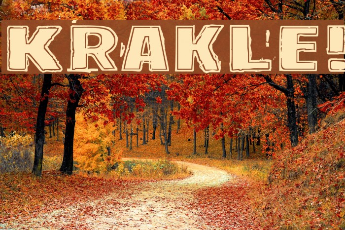 Krakle! Font - FFonts.net