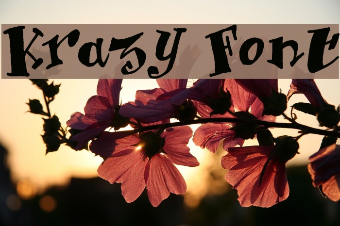 Krazy Font - FFonts.net