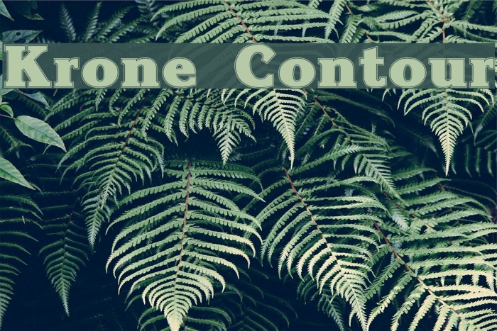 Krone Contour Font - FFonts.net