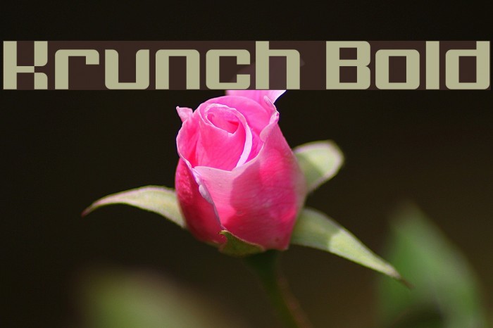 Krunch Bold Font - FFonts.net