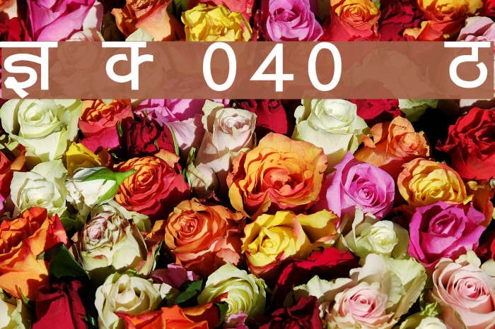 Kruti Dev 040 Bold Font - FFonts.net