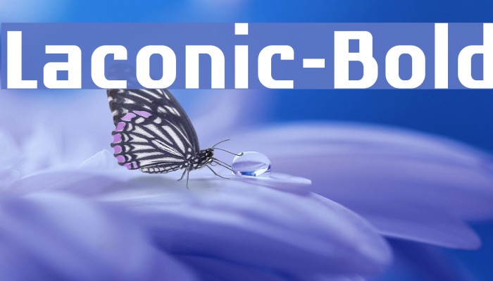 Laconic-Bold Font - FFonts.net