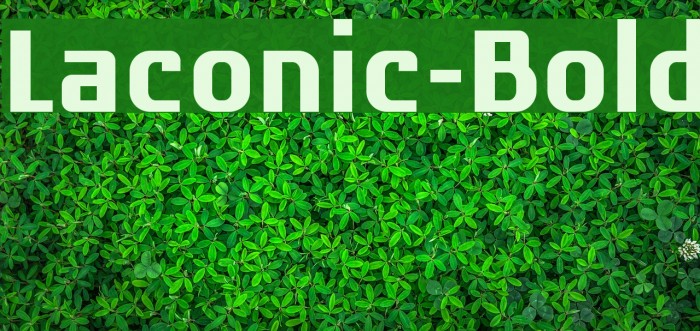 Laconic-Bold Font - FFonts.net