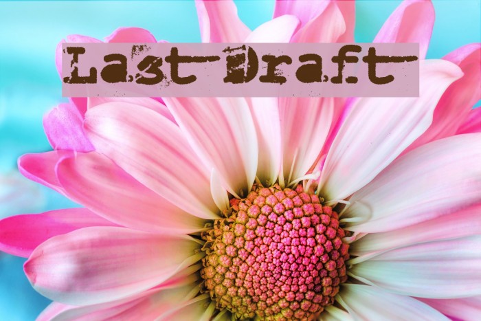 Last Draft Font - FFonts.net