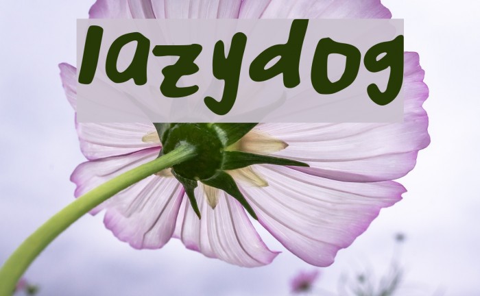 lazy_dog Font - FFonts.net