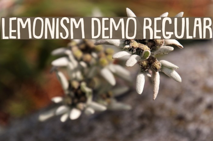 Lemonism DEMO Regular Font - FFonts.net