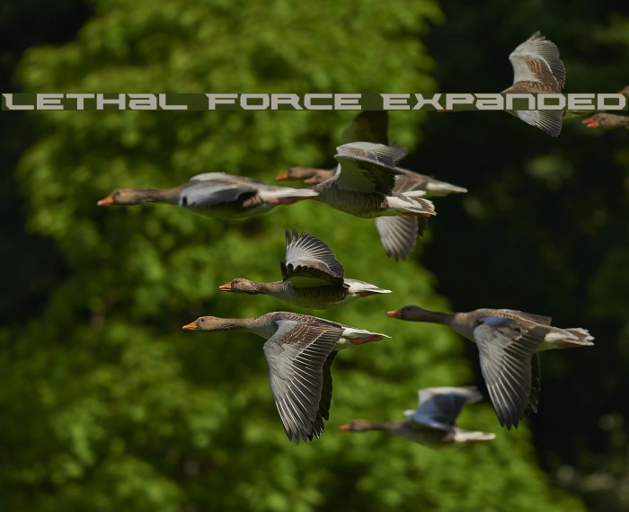 Lethal Force Expanded Font - FFonts.net