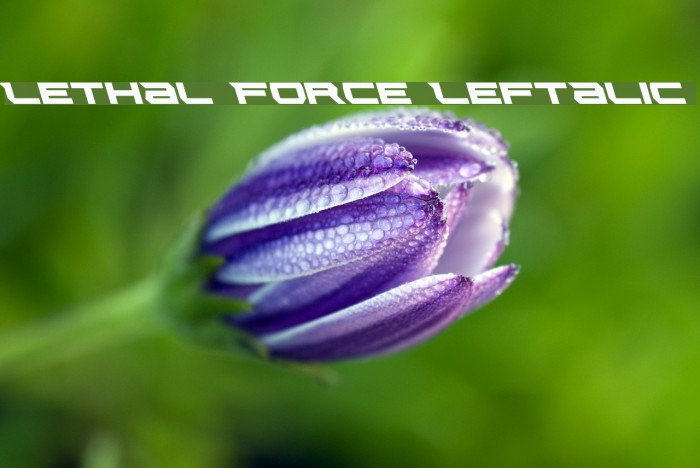 Lethal Force Leftalic Font - FFonts.net