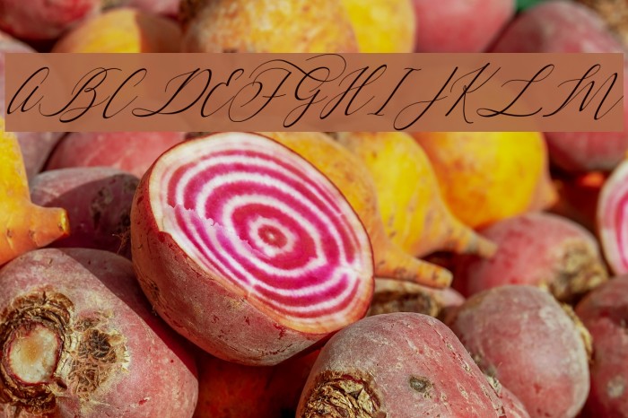 Letternisa Slant Font - FFonts.net