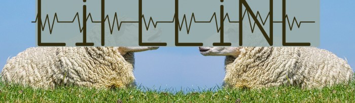 Lifeline Font - FFonts.net