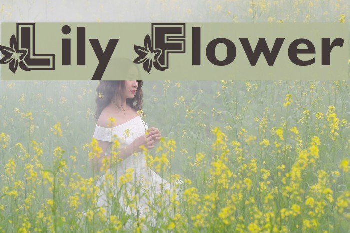 Lily Flower Font - FFonts.net