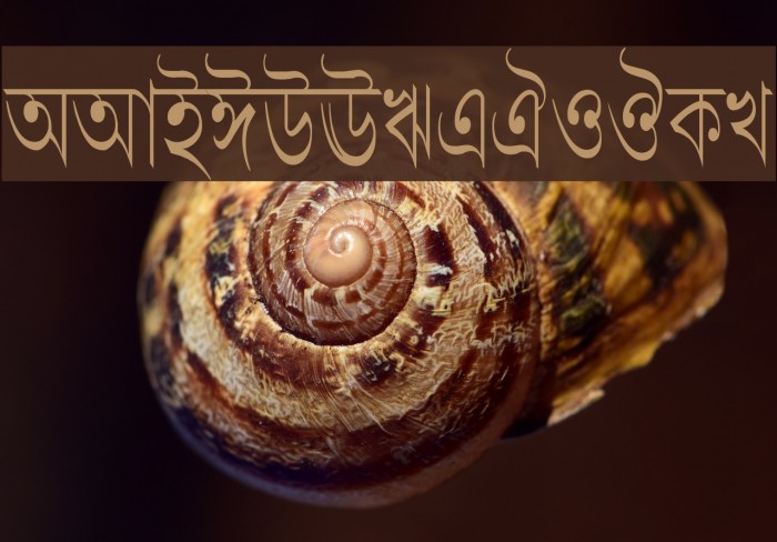 LipiCon Font - FFonts.net