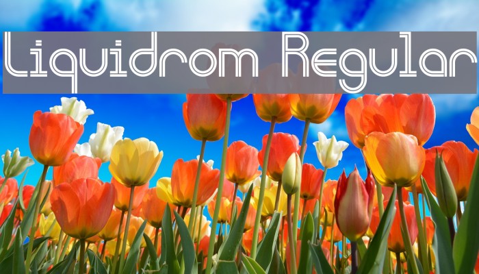 Liquidrom Regular Font - FFonts.net