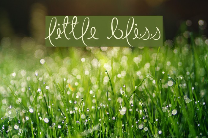 Little Bliss Font - FFonts.net