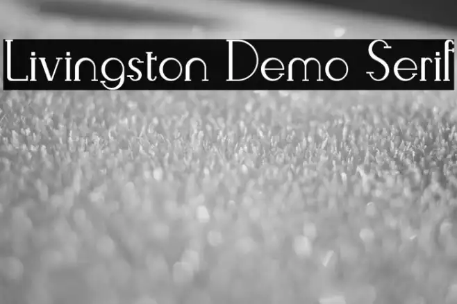 Livingston Demo Serif Font | Free Download (TTF/OTF) | FFonts.net