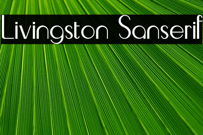 Livingston Sanserif Font - FFonts.net