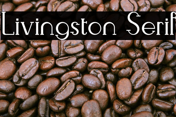 Livingston Serif Font - FFonts.net