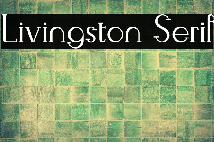 Livingston Serif Font - FFonts.net