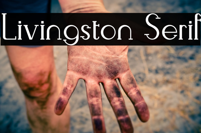 Livingston Serif Font - FFonts.net