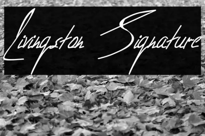 Livingston Signature Font | Free Download (TTF/OTF) | FFonts.net
