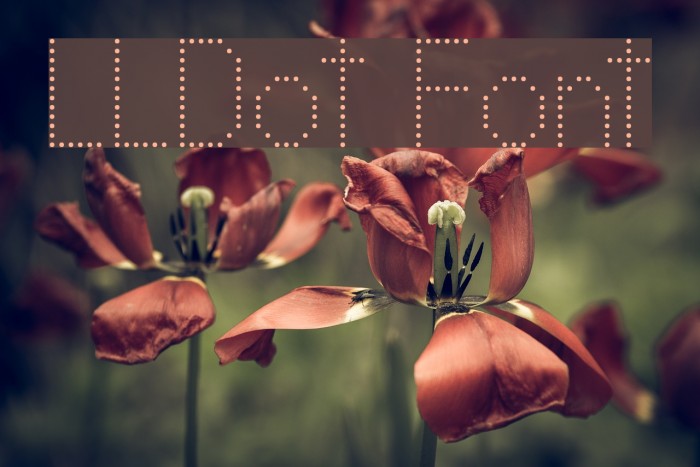 LLDot Font - FFonts.net