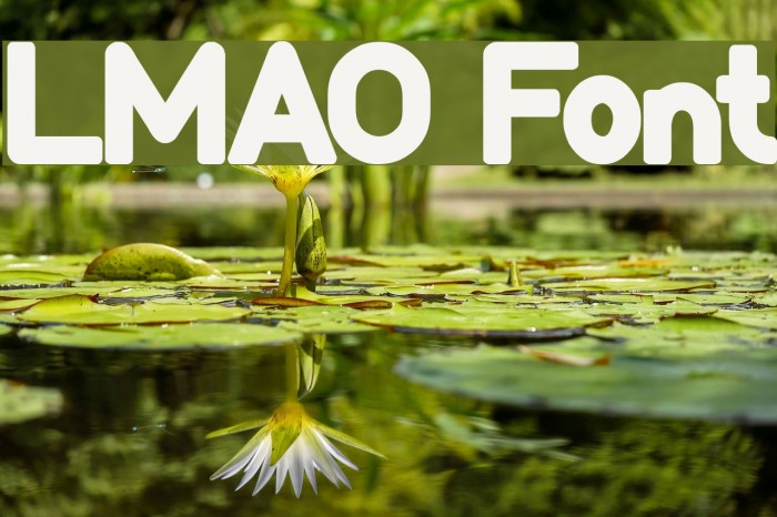 LMAO Font - FFonts.net