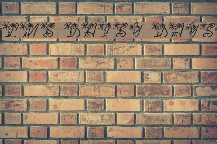 LMS Daisy Days Font - FFonts.net