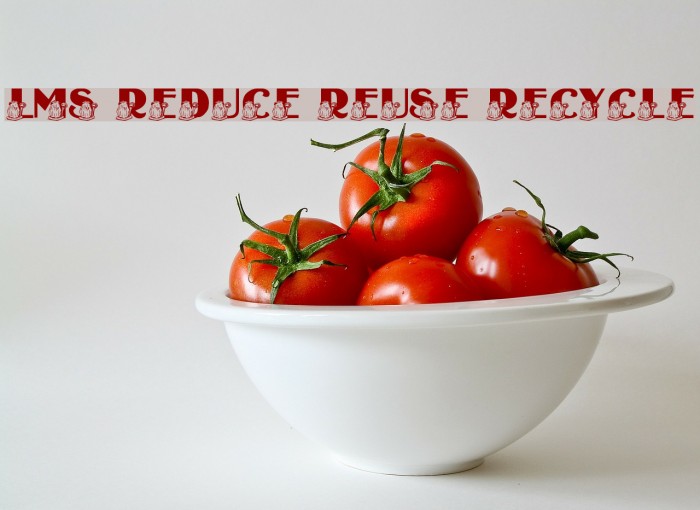 LMS Reduce, Reuse, Recycle Font - FFonts.net