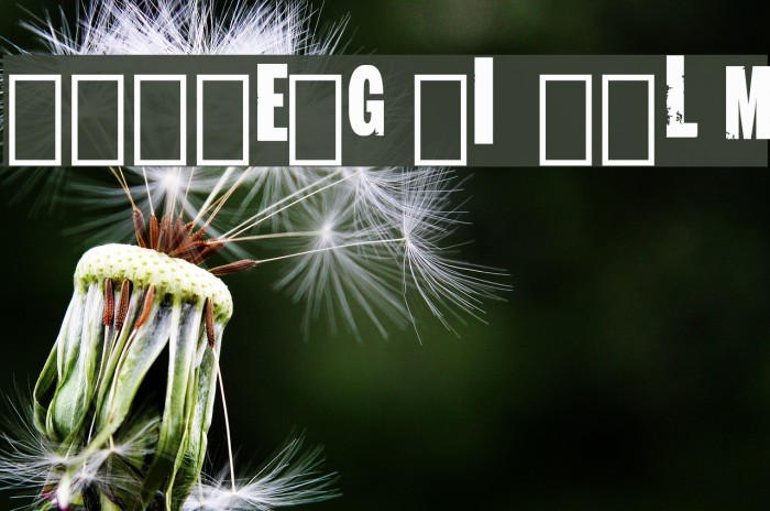 Longmire Logo Regular Font - FFonts.net