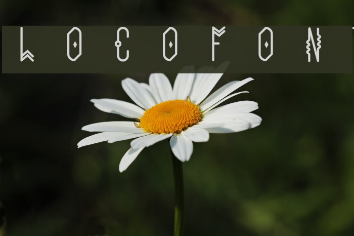 loco Font - FFonts.net