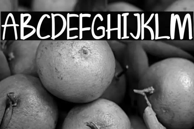 loretan Font | Details & Characters — FFonts.net