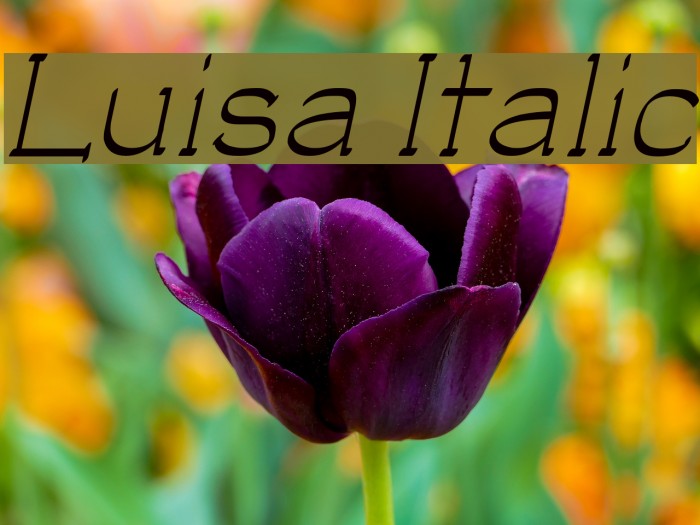 Luisa Italic Font - FFonts.net