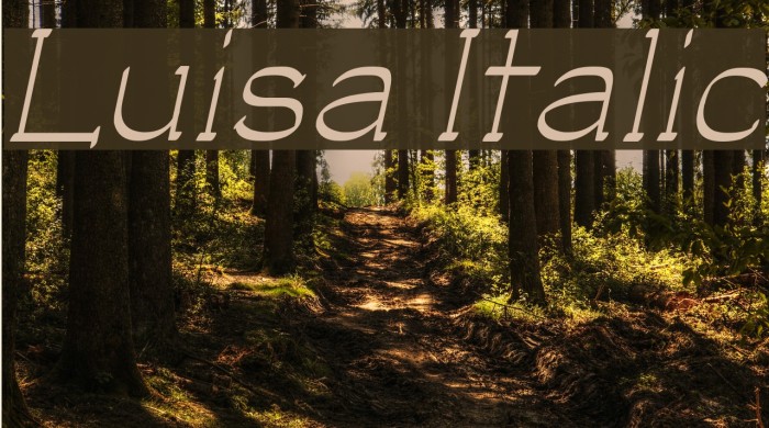 Luisa Italic Font - FFonts.net