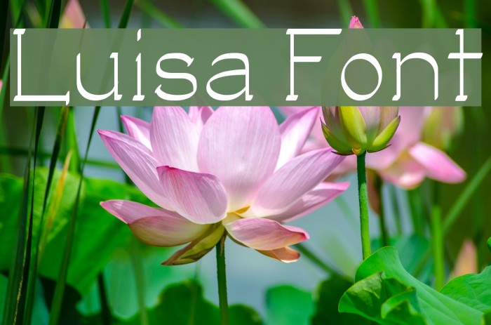 Luisa Font - FFonts.net