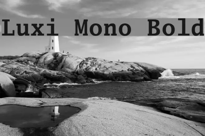 Luxi Mono Bold Font | Free Download (TTF/OTF) | FFonts.net