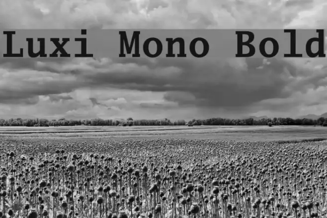 Luxi Mono Bold Font | Free Download (TTF/OTF) | FFonts.net