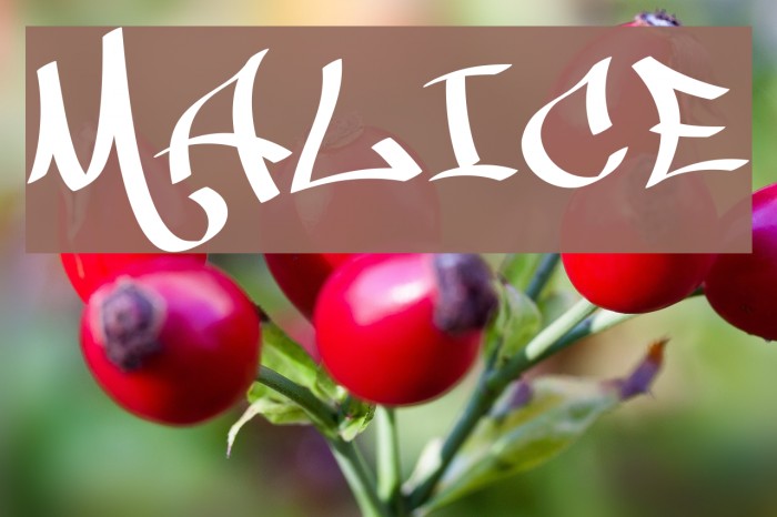 MALICE Font - FFonts.net