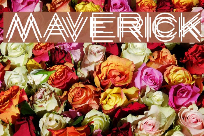 MAVERICK Font - FFonts.net