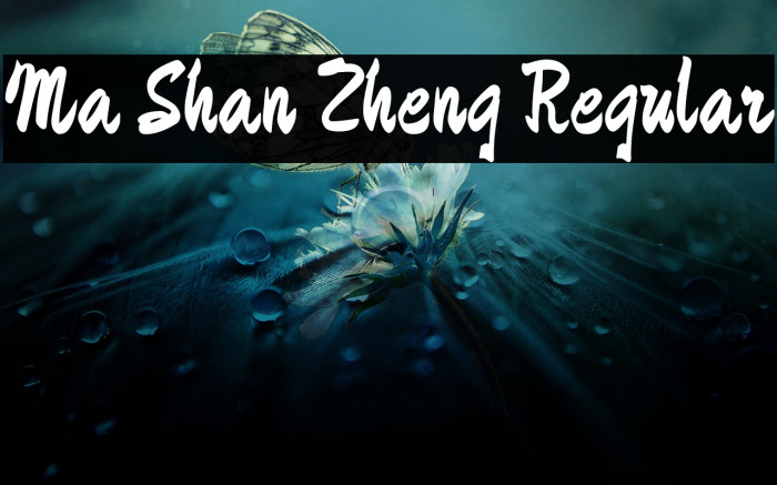 Ma Shan Zheng Regular Font - FFonts.net