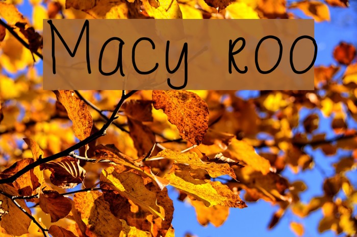 Macy roo Font - FFonts.net