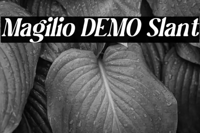 Magilio DEMO Slant Font | Free Download (TTF/OTF) | FFonts.net
