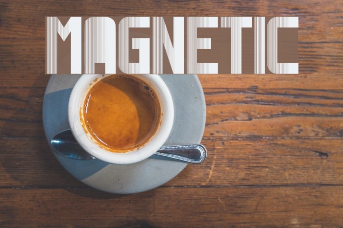 Magnetic Font - FFonts.net