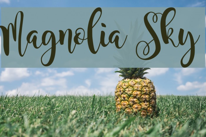 Magnolia Sky Font - FFonts.net