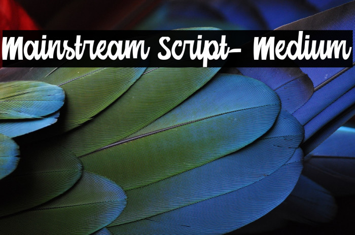 Mainstream Script-Medium Font - FFonts.net